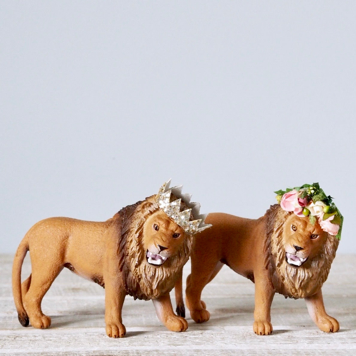 Roaring Lion | Bow Beaus